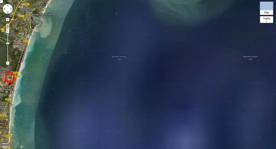 RIP Freya – Keep Whales Wild